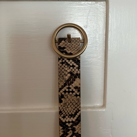Accessories | Snake Skin Belt With Gold Accent | Poshmark